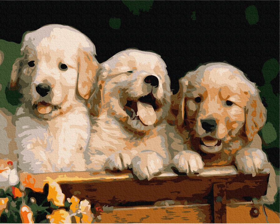 Рисуване по номера Gradientti Кученца - store.bg