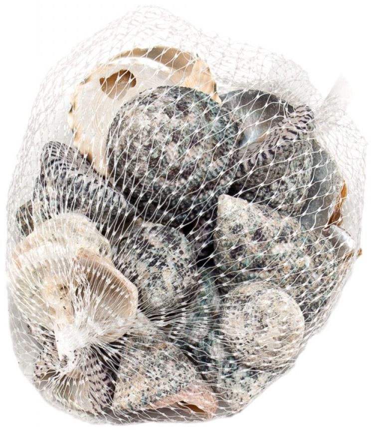 Морски аксесоари за декорация Раковини - store.bg